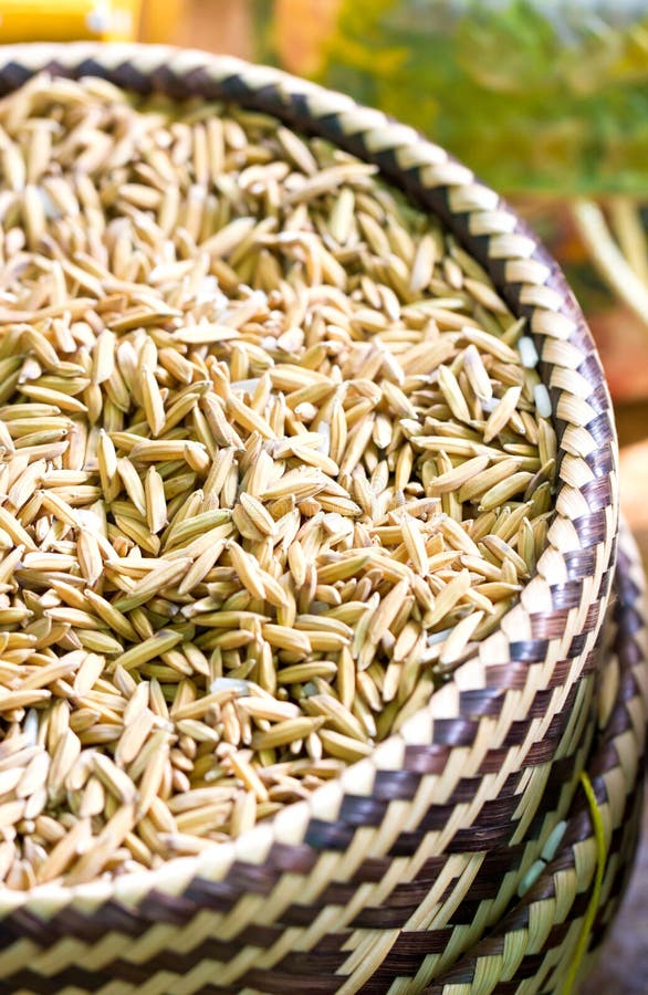 385 Paddy Container Stock Photos - Free & Royalty-Free Stock Photos ...