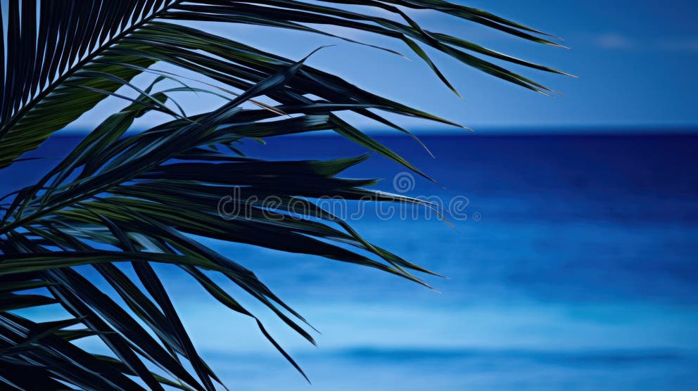 A Close Up of a Palm Tree with the Ocean in View, AI Stock Image ...