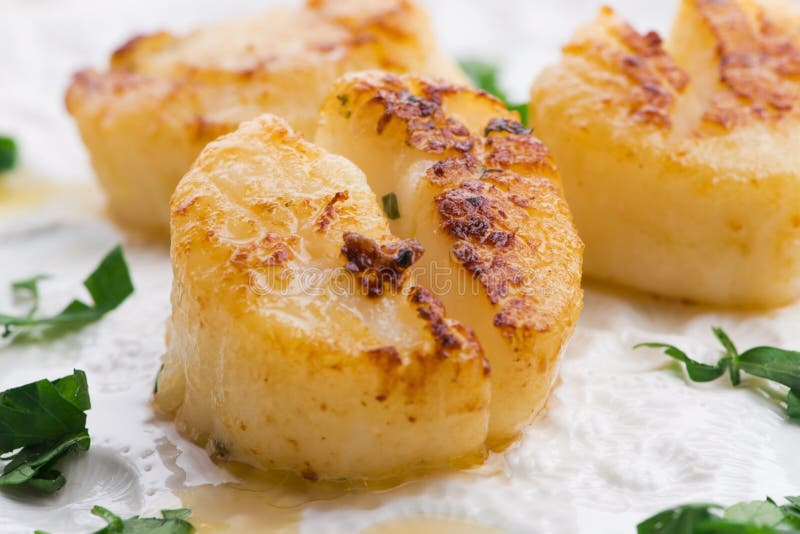 Close Up of Pan Seared Sea Scallops Stock Photo - Image of cooked ...