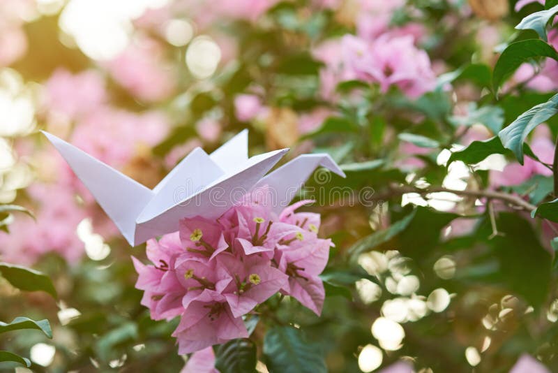 175 Japanese Paper Crane Tree Stock Photos - Free & Royalty-Free Stock ...