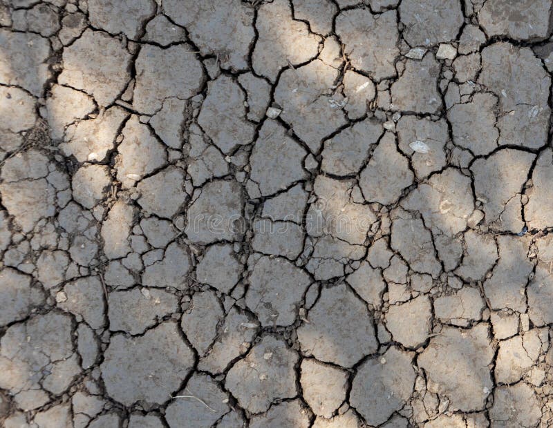 Cracked Dry Earth Texture in Sunlight Stock Photo - Image of pattern ...