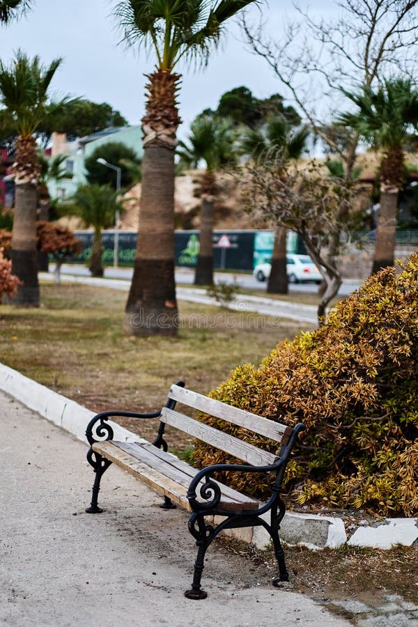 Close-up of a Park Bench. Rest Zone Stock Photo - Image of resort ...