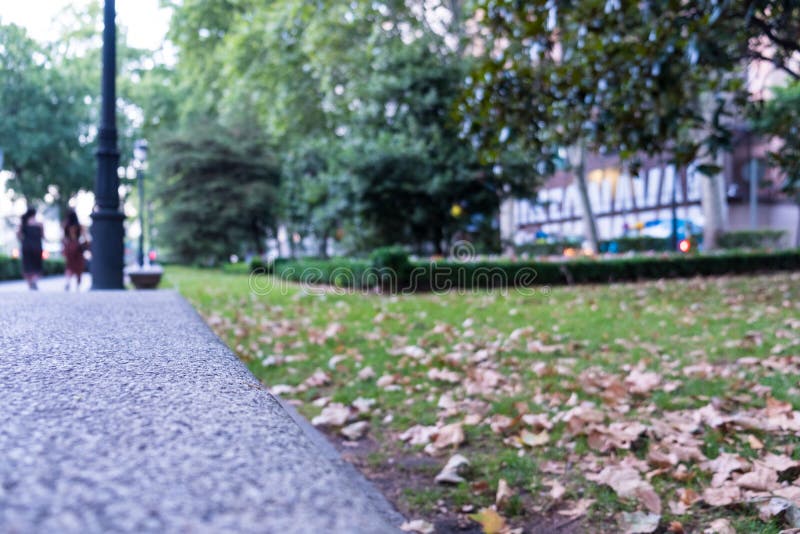 Close Up of a Park Path Walk with Grass and Leaves Stock Image - Image ...