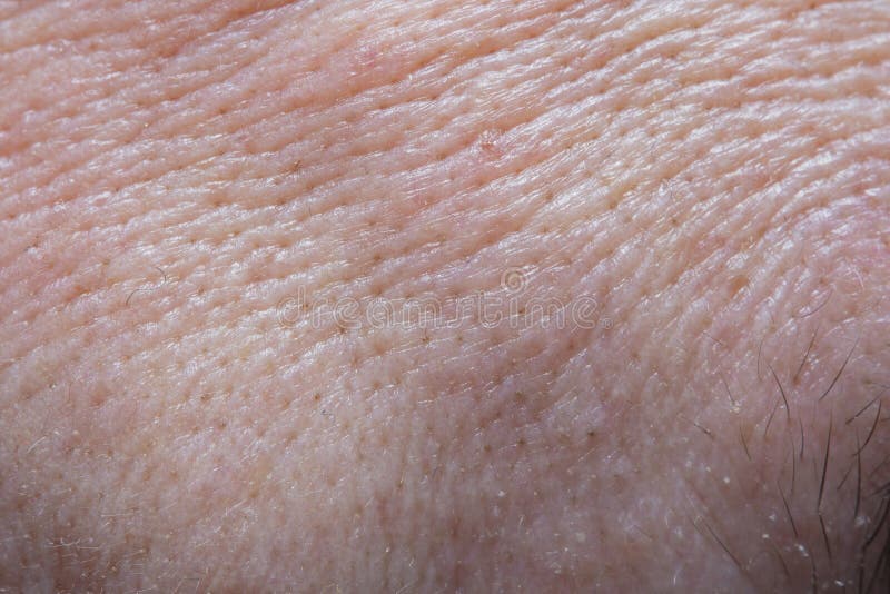 110 Human Forehead Skin Texture Stock Photos - Free & Royalty-Free ...