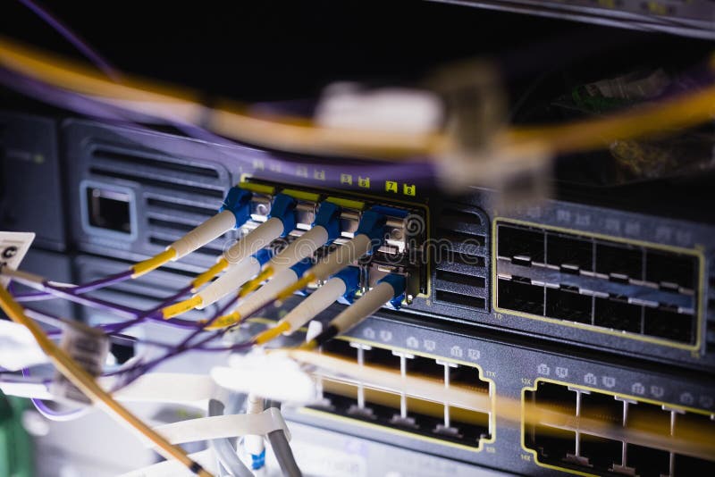 Close-up of Patch Cords Connected in Socket Stock Photo - Image of ...