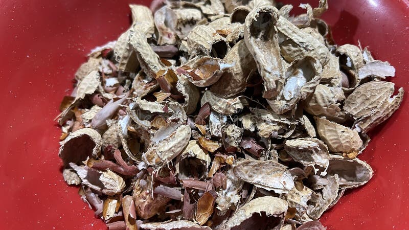 Close Up Peanut Shell.peanut Shells Can Use As Compost Stock Image ...