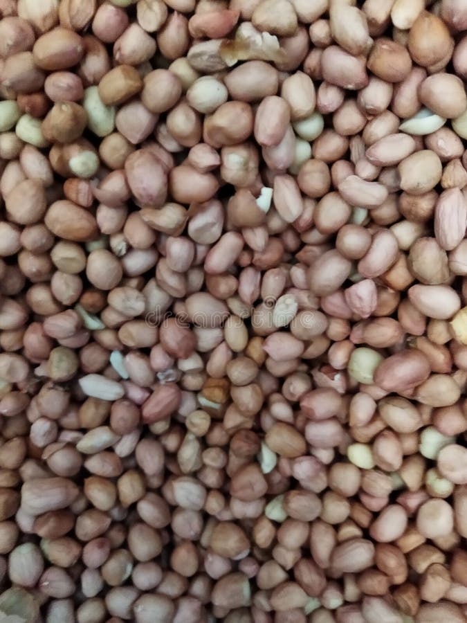 Peanut, Ground Nut, Goober,pindar or Monkey Nut Texture Stock Image ...