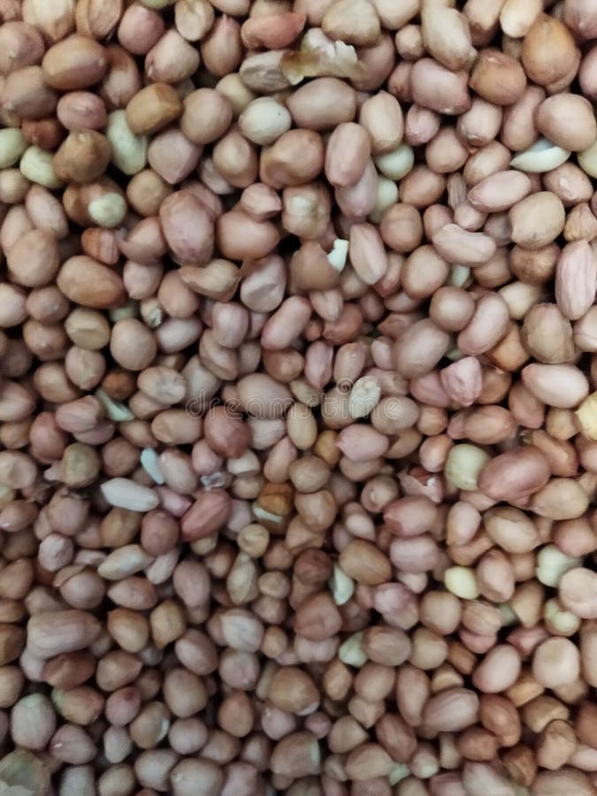 Close Up of Peanuts or Ground Nut B Stock Photo - Image of nature, food ...