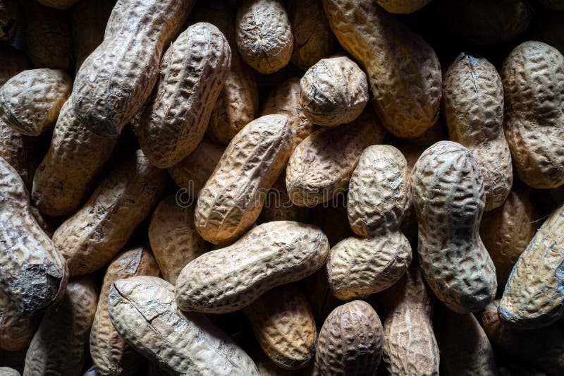 Close-up of Peanuts in Shells. Stock Photo - Image of tasty, peanuts ...