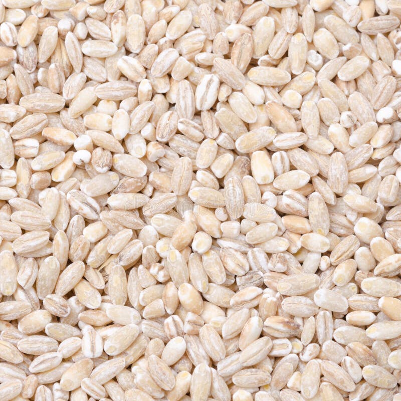 Barley background stock image. Image of food, bread - 101599603