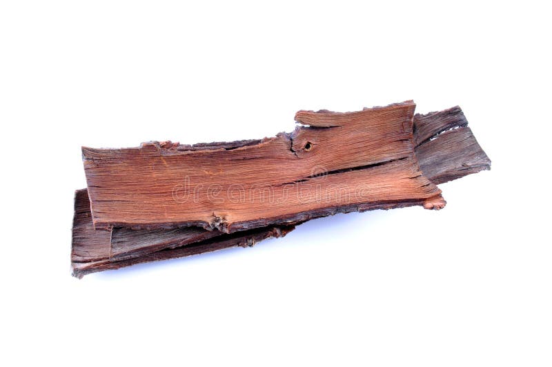 Peel tree with growing stock image. Image of skin, pine - 76168643