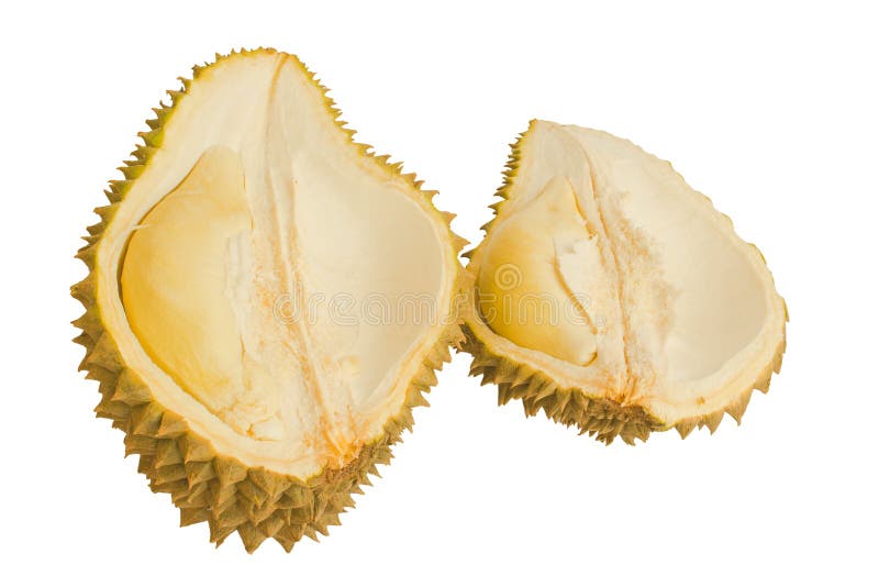 Close Up of the Durian Skin Stock Photo - Image of nutrition, natural ...