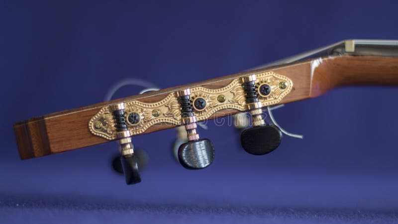 Close-up of the Pegbox of an Acoustic Guitar Stock Photo - Image of ...
