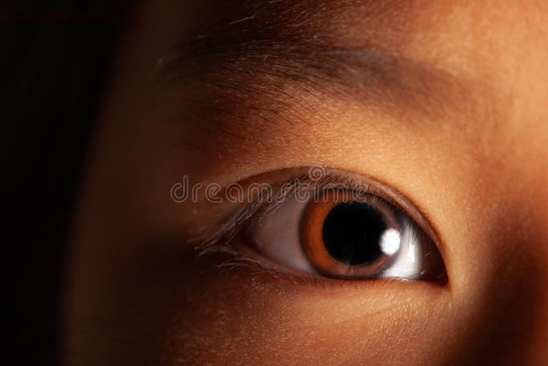 Close Up of a Single Child`s Eye Stock Image - Image of face, eyes ...