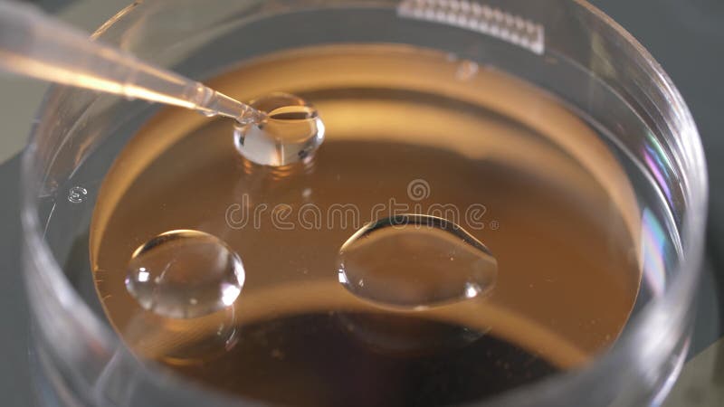 Procedure of Placing Cryoprotectant in Dish Standing Under Microscope ...