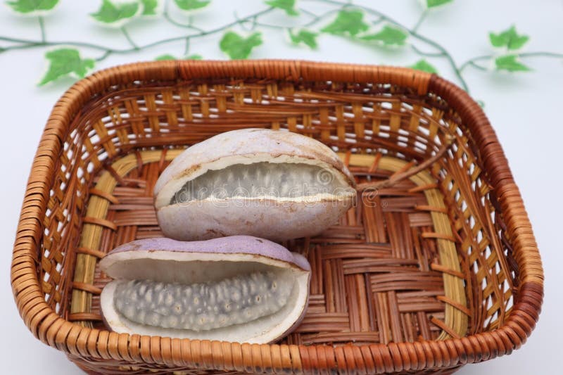 Akebi Fruit Stock Photos - Free & Royalty-Free Stock Photos from Dreamstime