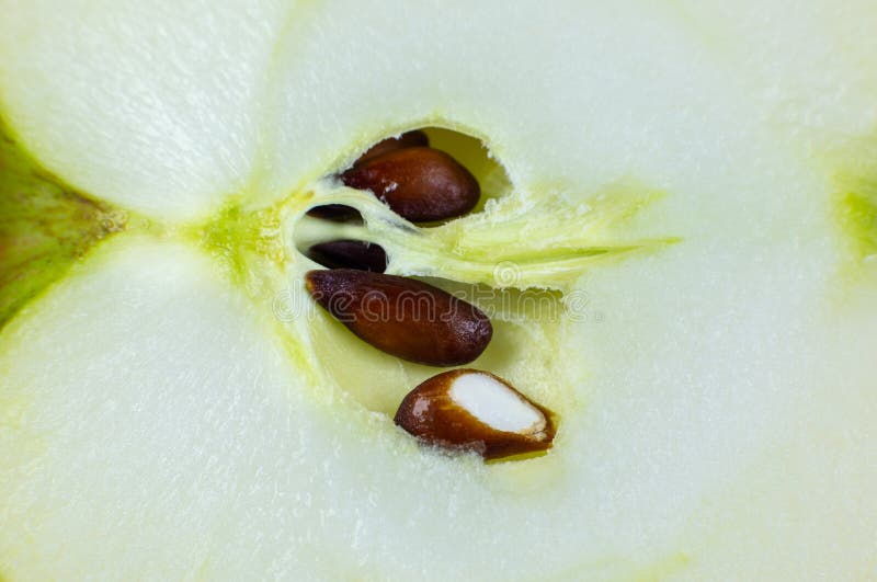 Close Up Photo of Apple on White Background. Apples Fruit Cut in Half ...