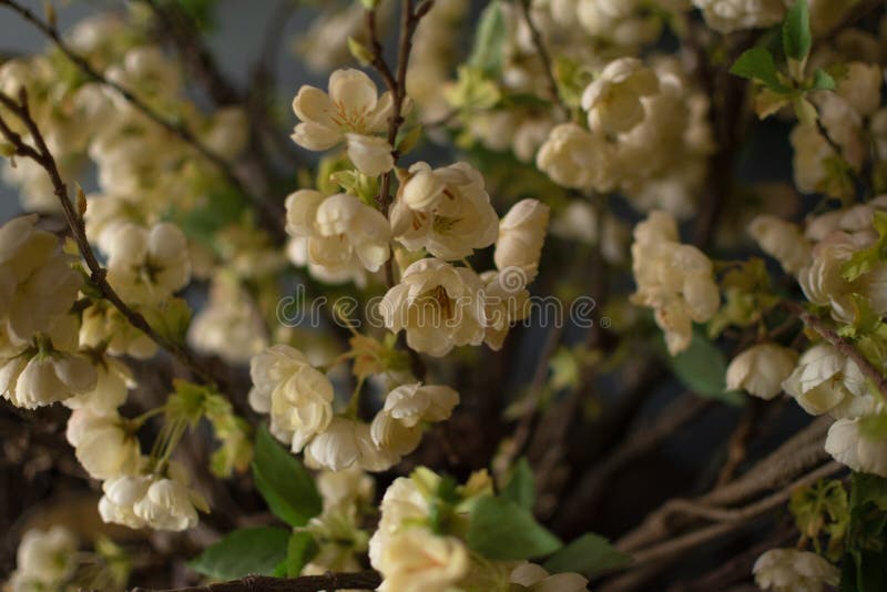Close Up Photo of Artificial Flowers on a Branch. Stock Image - Image ...