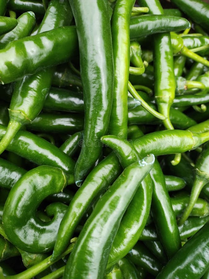 Close-up Photo of Green Chili Background Stock Image - Image of gourd ...