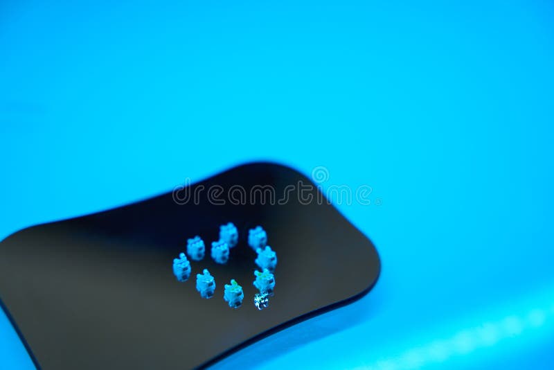 Close Up Photo of Ceramic Staples on Black Plate Stock Image - Image of ...