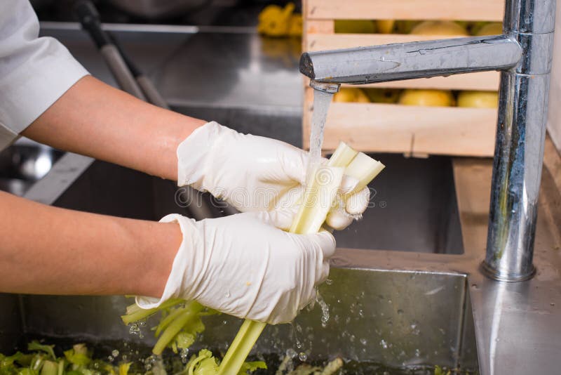 Close Up Photo of Chef Washing Celery Sticks Stock Image - Image of ...
