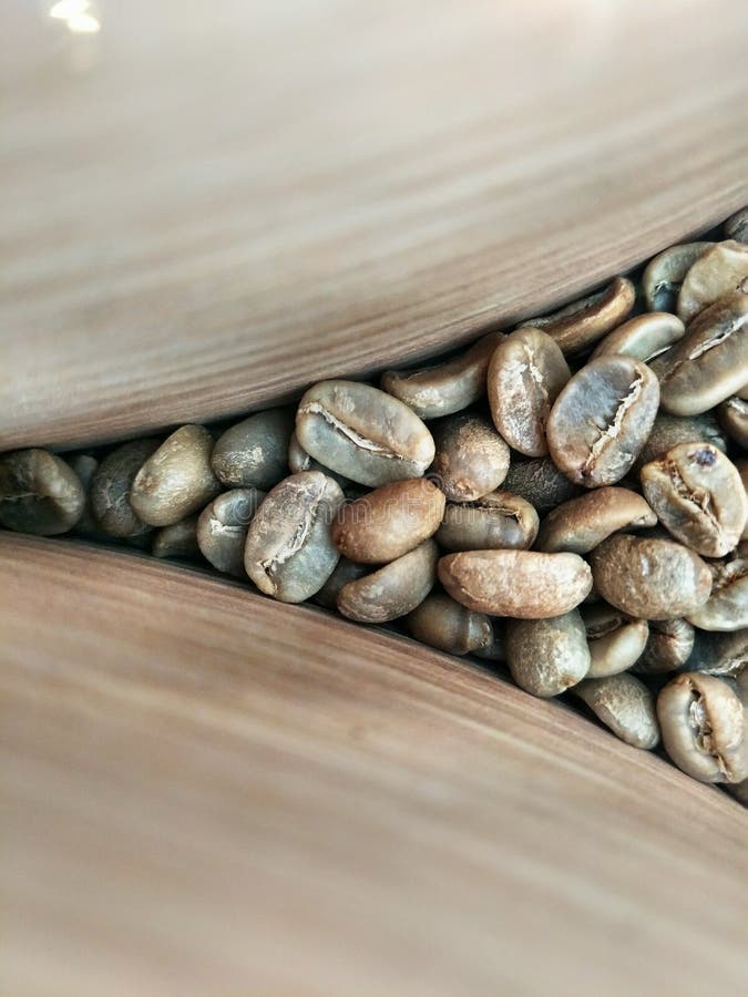 Coffee seed stock image. Image of seed, coffee, closeup - 104717793