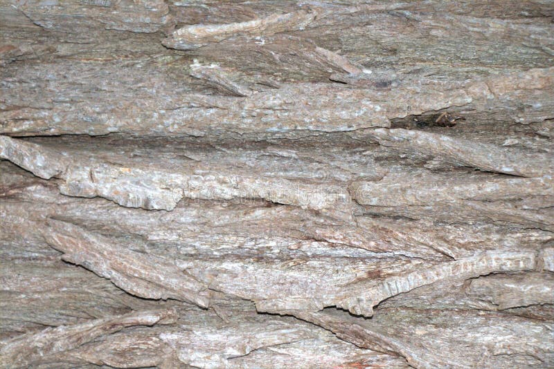 Cringe Texture Stock Photos - Free & Royalty-Free Stock Photos from ...