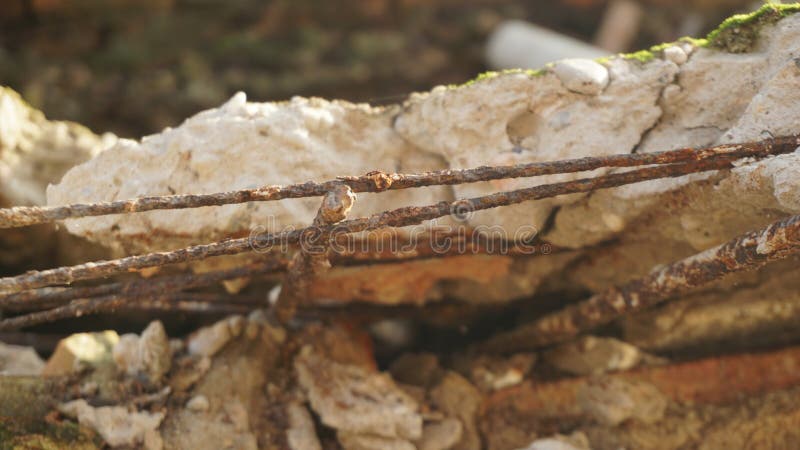 Exposed Rebar in Damaged Concrete Stock Image - Image of damaged ...