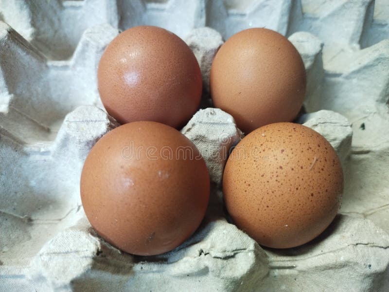 Close-up Photo of Eggs in Egg Container Stock Photo - Image of ...