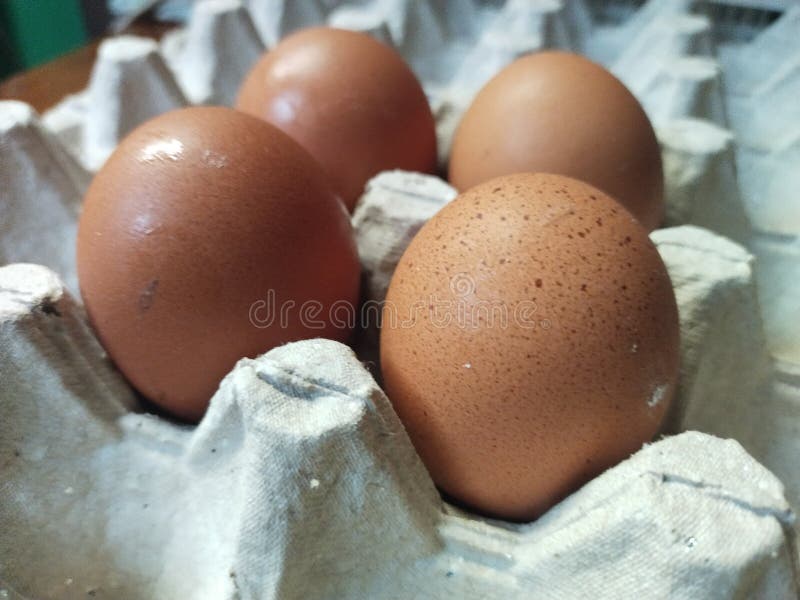 Close-up Photo of Eggs in Egg Container Stock Image - Image of eggs ...