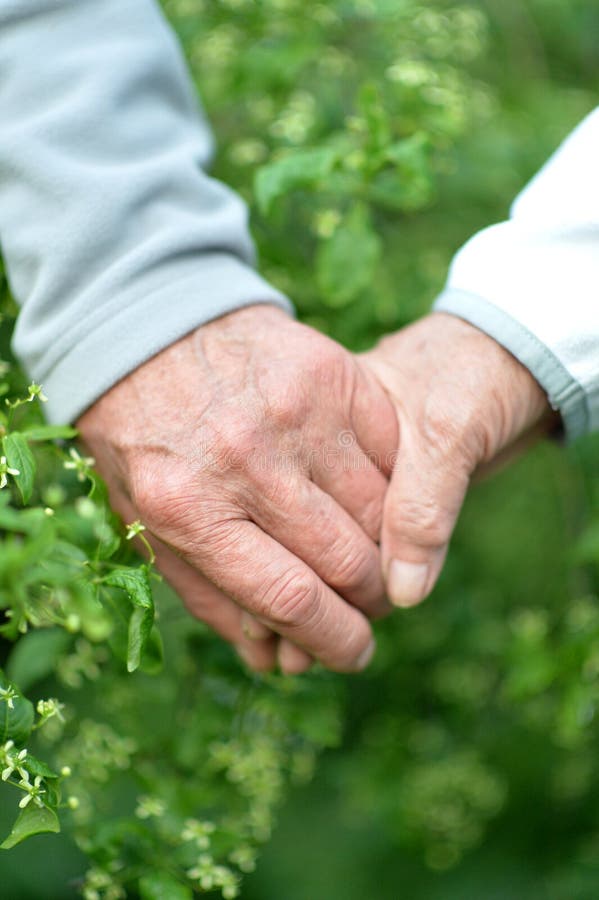 Close-up Photo of Elderly People Holding Hands Stock Photo - Image of ...