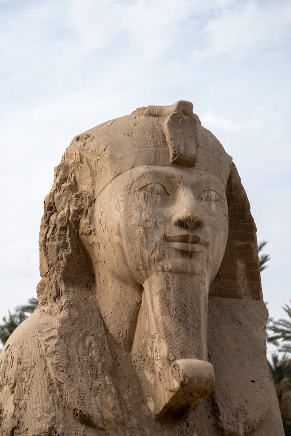 Close Up Photo of a Face of Sphinx Stock Photo - Image of face, travel ...