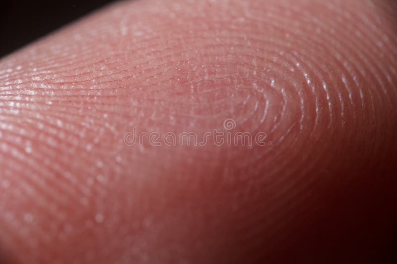 Close-up Photo of Fingerprint, Macro Photo of Finger Stock Illustration ...