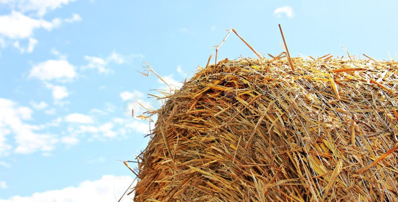 Close Up Photo of Hay stock image. Image of clouds, golden - 83067881