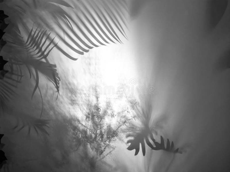 Close-up Photo, Leaves Shadow from Canvas Stock Photo - Image of sketch ...