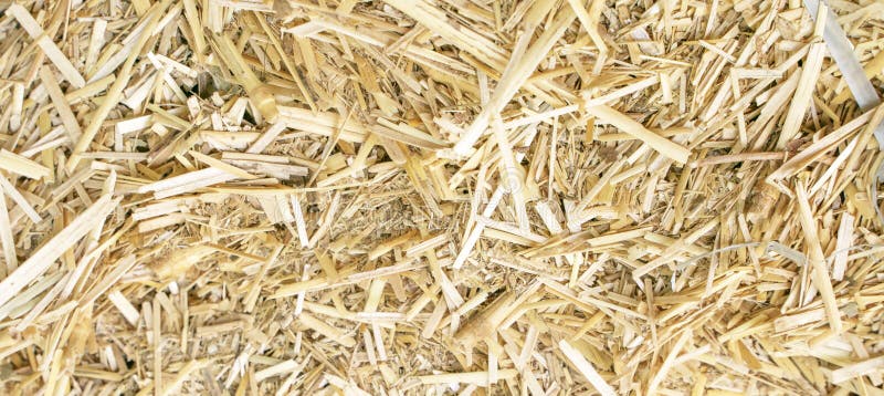 Close Up Photo of a Lot of Small Straw Stock Image - Image of ...