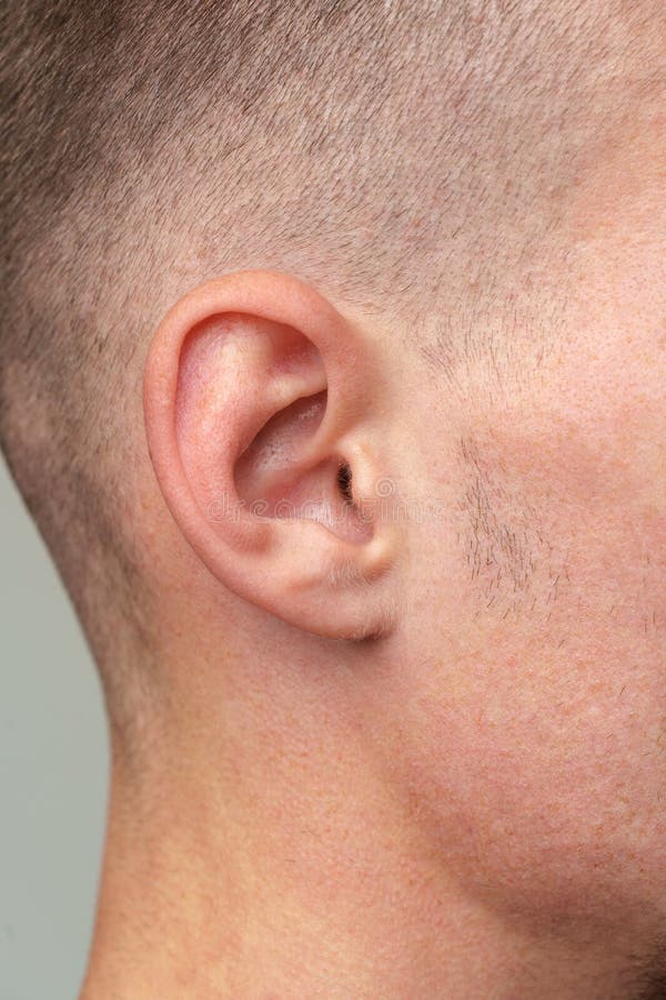 Close Up of a Mans Ear with Short Hair Stock Photo - Image of hairstyle ...