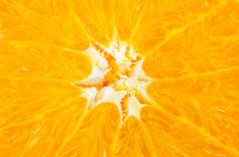 Close Up Photo of Orange on White Background. Oranges Fruit Cut in Half ...