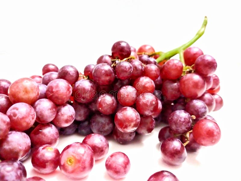 Close-up Photo of Small Purple Seedless Grapes Stock Photo - Image of ...