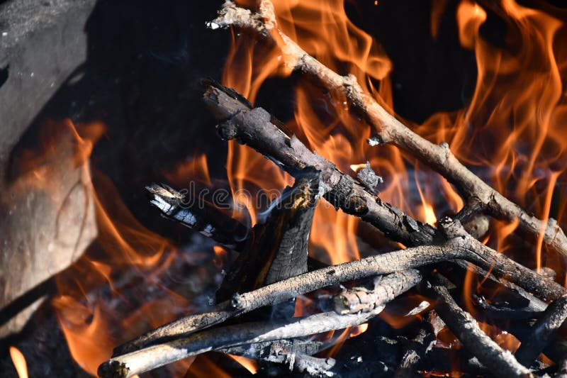 Close Up Photo of Sticks Burning in a Fire Pit at Interstate State Park ...