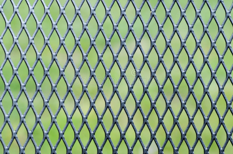 Close-up Photo of a Structure of Iron Mesh with Green Lawn in Th Stock ...