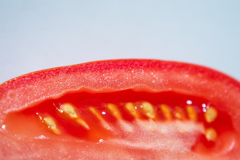 Close Up Photo of the Texture of the Inside of a Tomato Stock Image ...