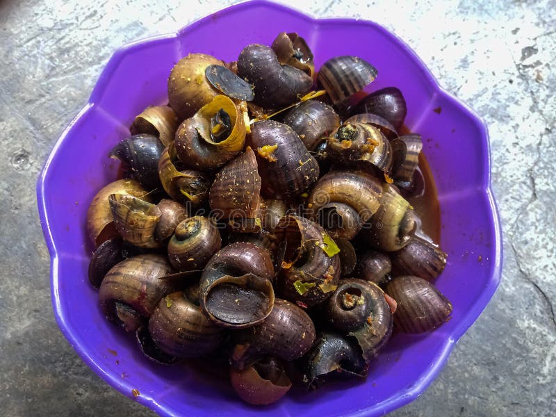 Close Up Photo of Tutut Conch in a Bowl Stock Image - Image of rice ...