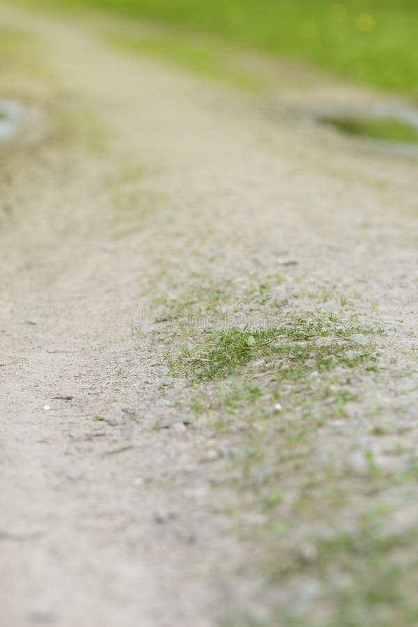 Close Up Photo of Walkway in the Park Stock Photo - Image of dirt, bush ...