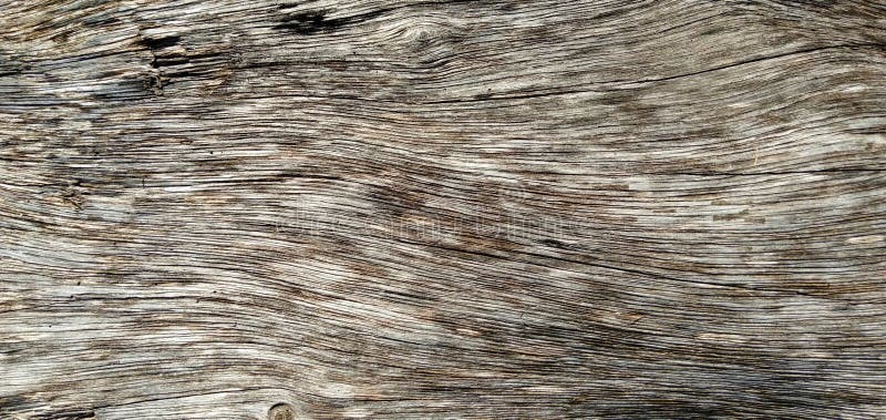 A Close Up Photo of this Wood Surface Pattern is Suitable for Your ...