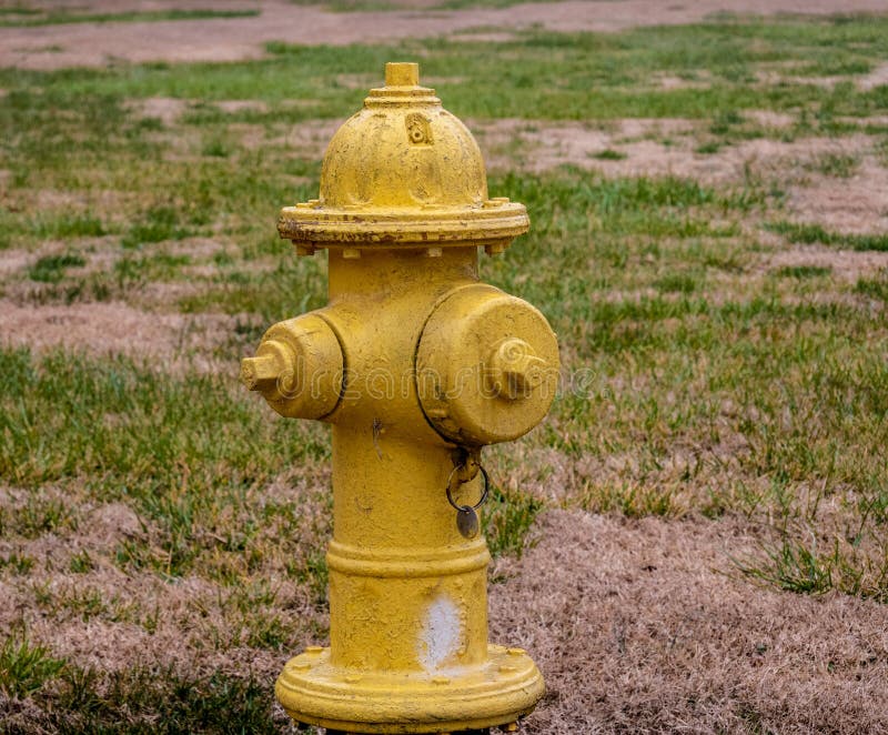 Close Up Photo of a Yellow Fire Hydrant. Stock Photo - Image of ...