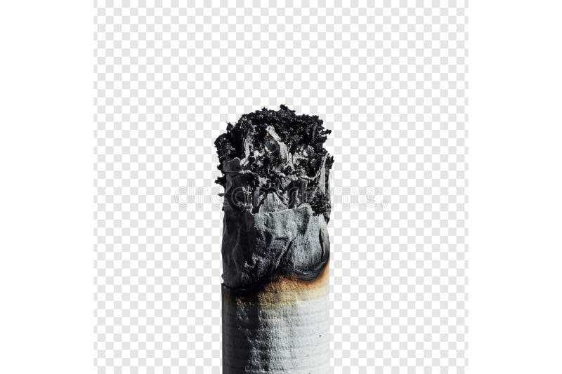 Closeup of a Burnt Cigarette Stock Illustration - Illustration of item ...
