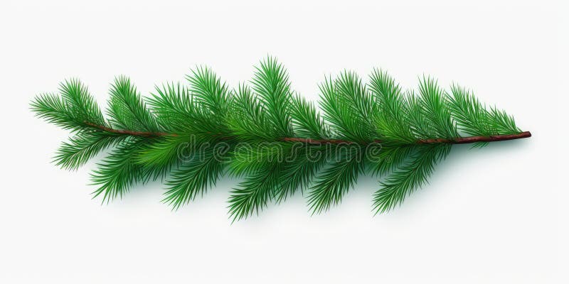 A Close-up Photograph of a Single Branch from a Pine Tree Against a ...