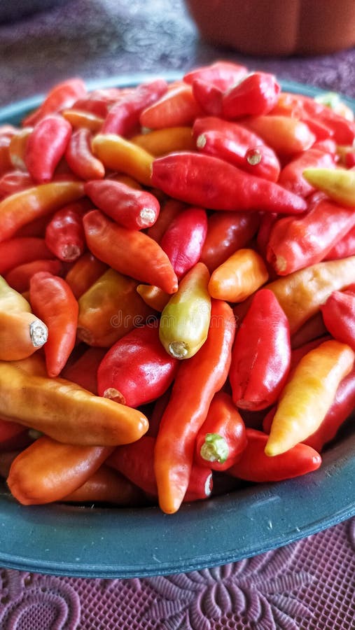 Close-up Photography of Red Chilli Pepper Stock Image - Image of pepper ...