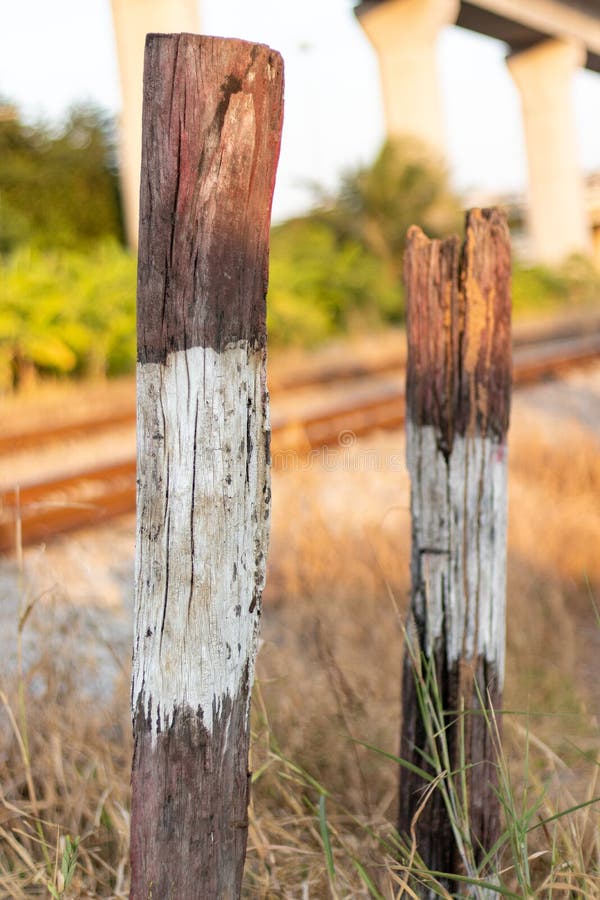 Close-up Photos of Old Wooden Posts Stock Photo - Image of sheet, blank ...